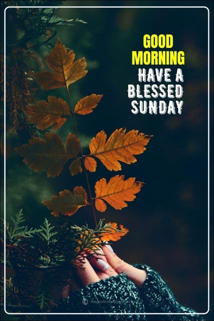 Beautiful Happy Sunday Images, Photos, Pictures & Pics - Photos Baba